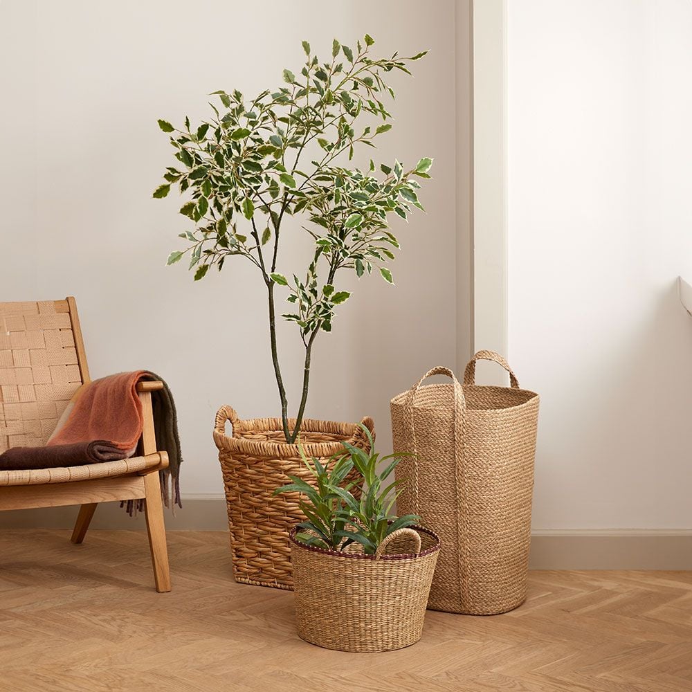 GUNNULF kunsttaim 65 x 56 x 150 cm - JYSK - Alati head pakkumised